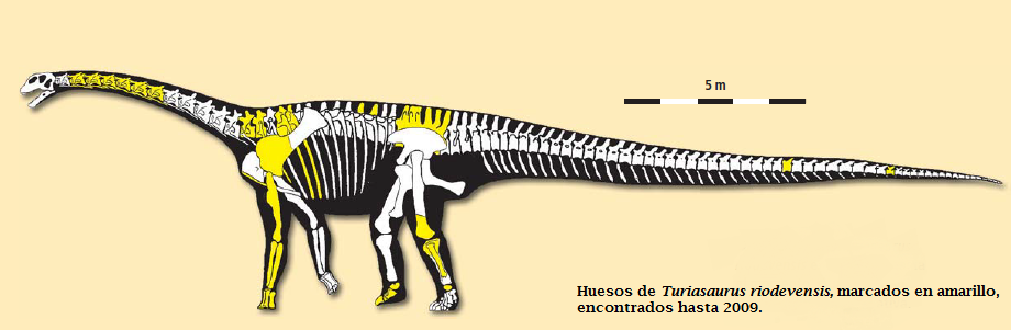 ¡DEJADME VIVIR!: Huellas de dinosaurio en Riodeva (Teruel).