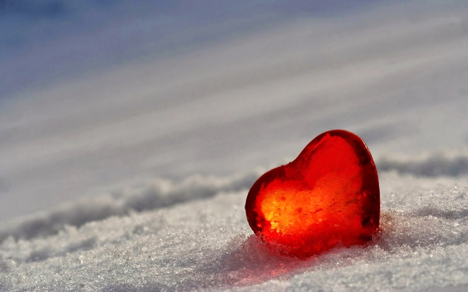 Loving Heart HD Love Wallpaper | My Love Wallpaper HD