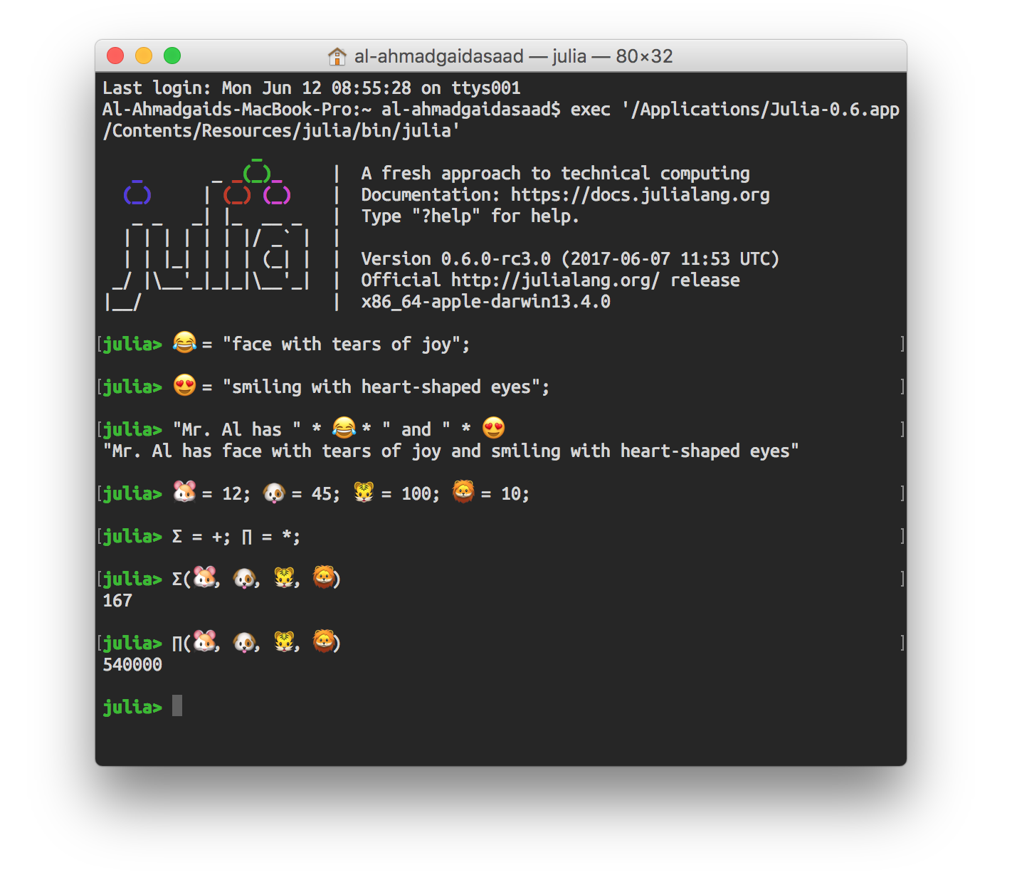 Julia Installation And Editors