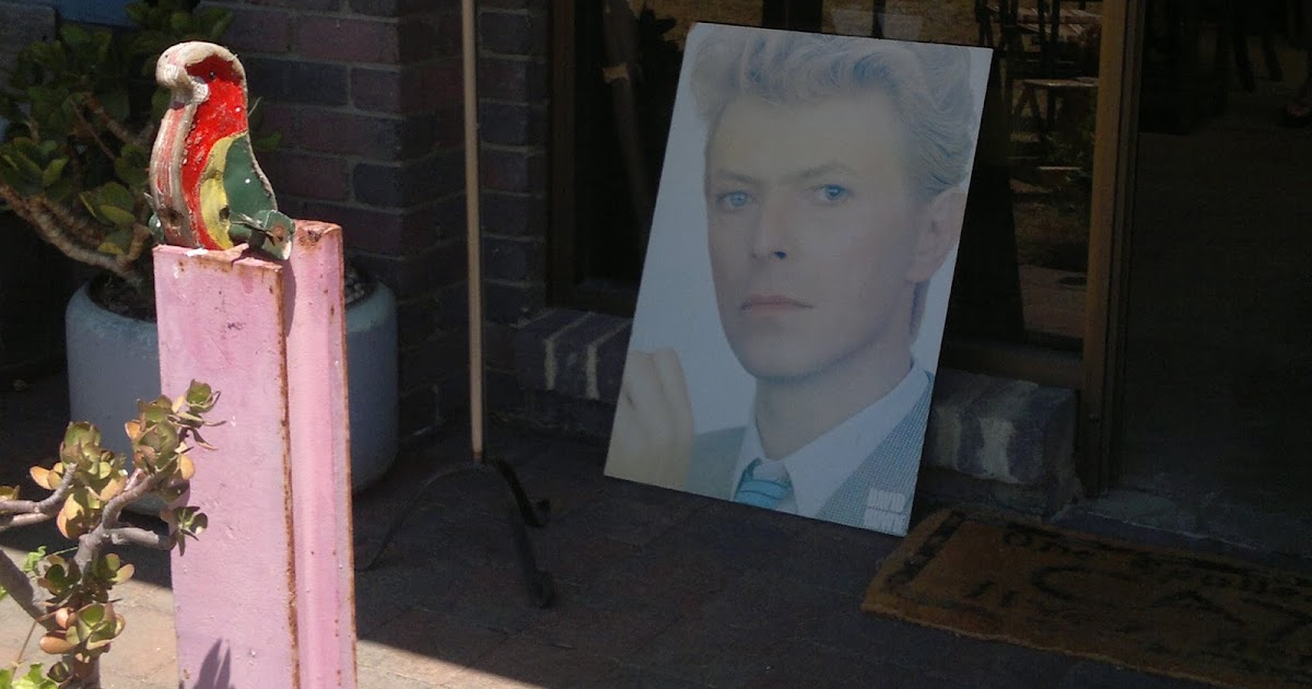 too much of nothing: in the country the day after David died