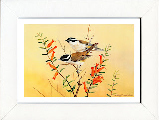 jjjewel.resimlerim: KUŞ VE DOĞA TEMALI RESİMLER