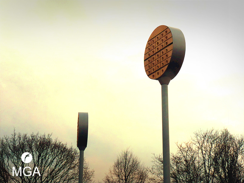 Action for Swifts: New Swift tower in Poland