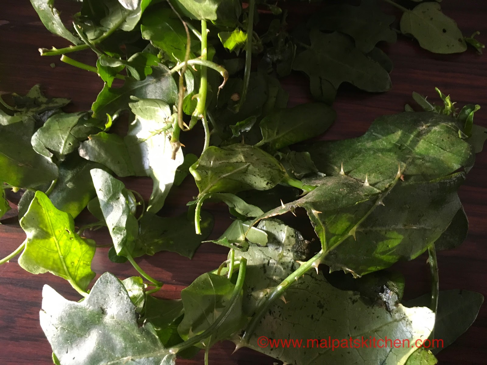 THOOTHUVALAI THOGAYAL, how to make Solanum Trilobatum chutney ~ Malpats ...