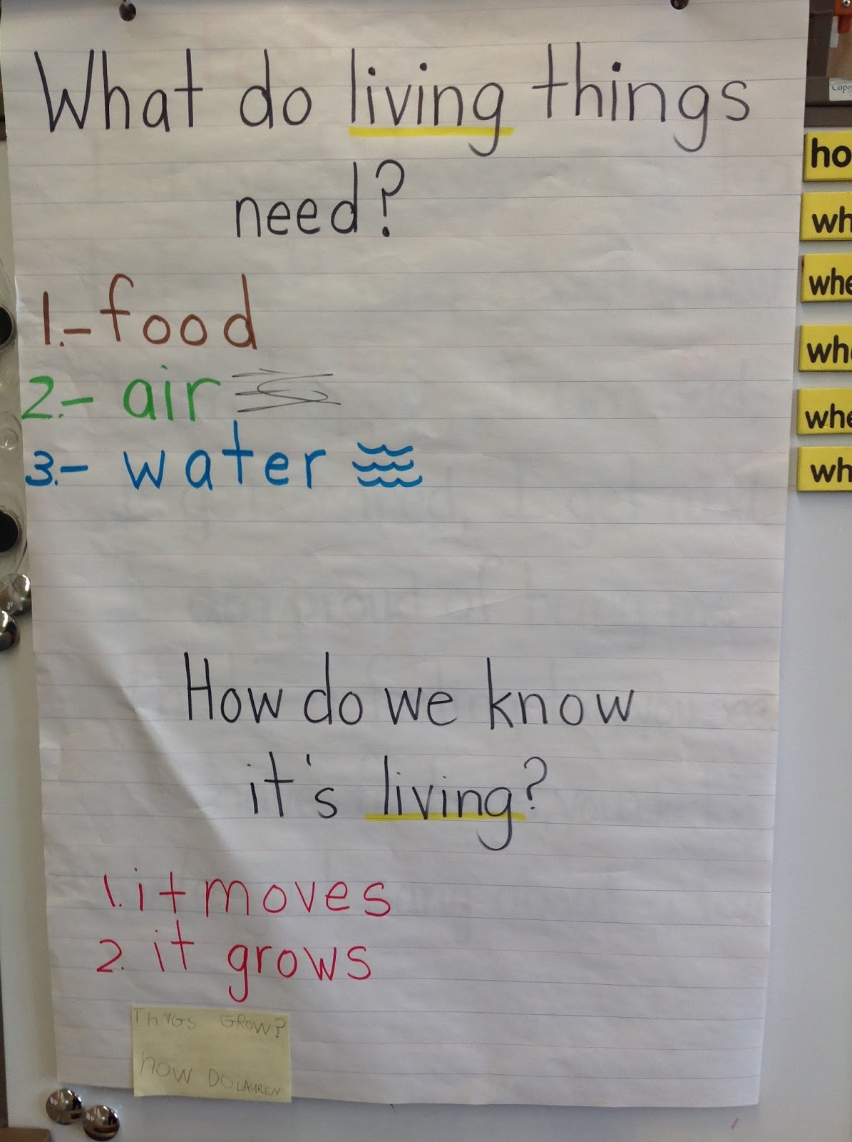Wonders in Kindergarten: What do living things need? How do we know it ...
