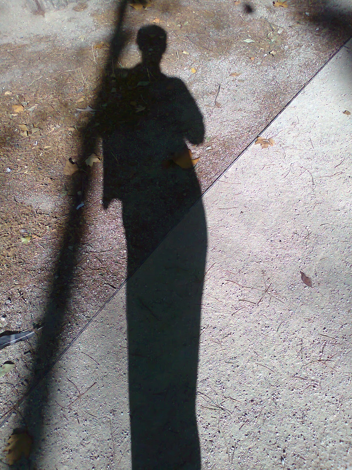 Las ensoñaciones del paseante solitario: ¿Donde estará mi sombra?