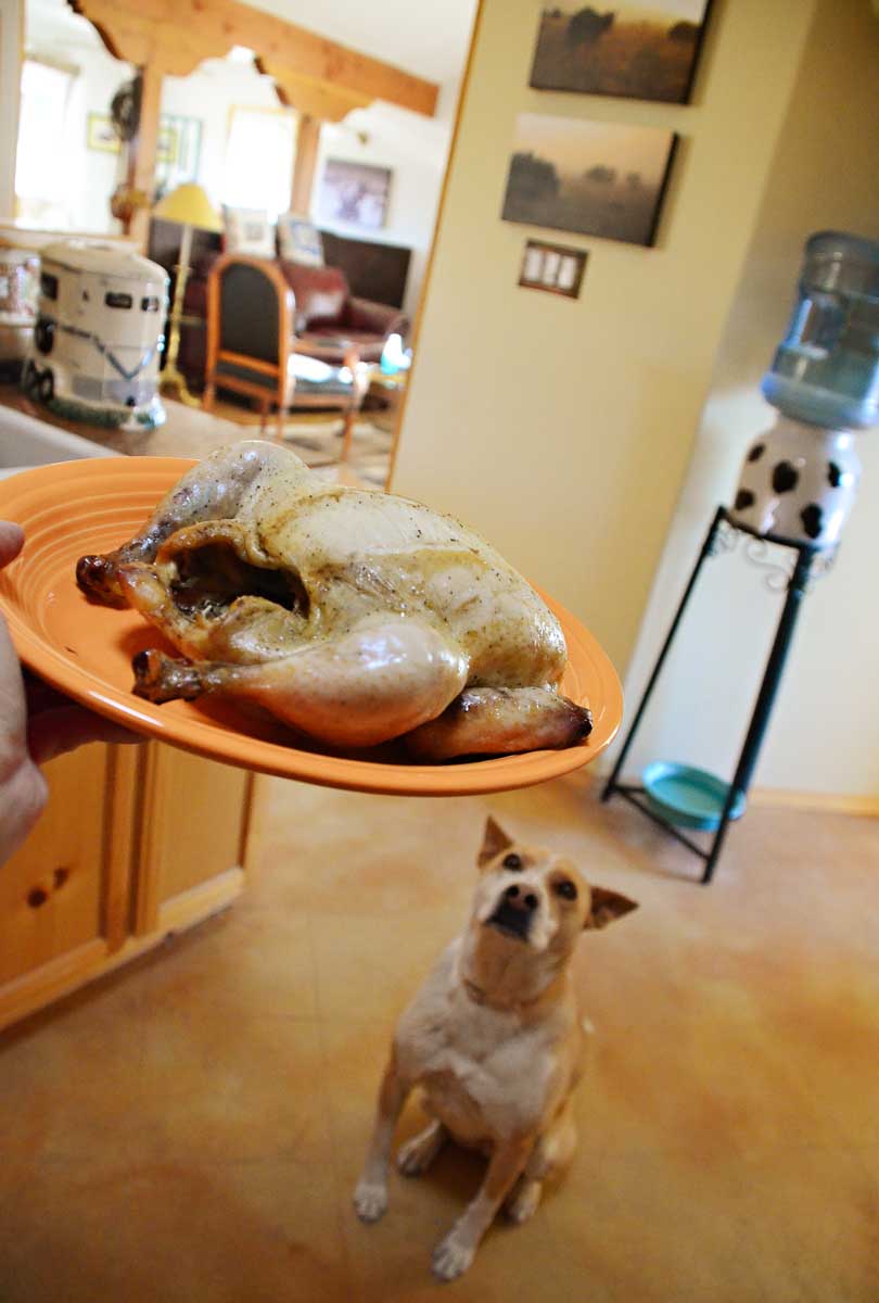 The 7MSN Ranch: How to roast a chicken in a wagon