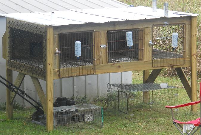 Self Sustenance and Prepping: Meat Rabbits