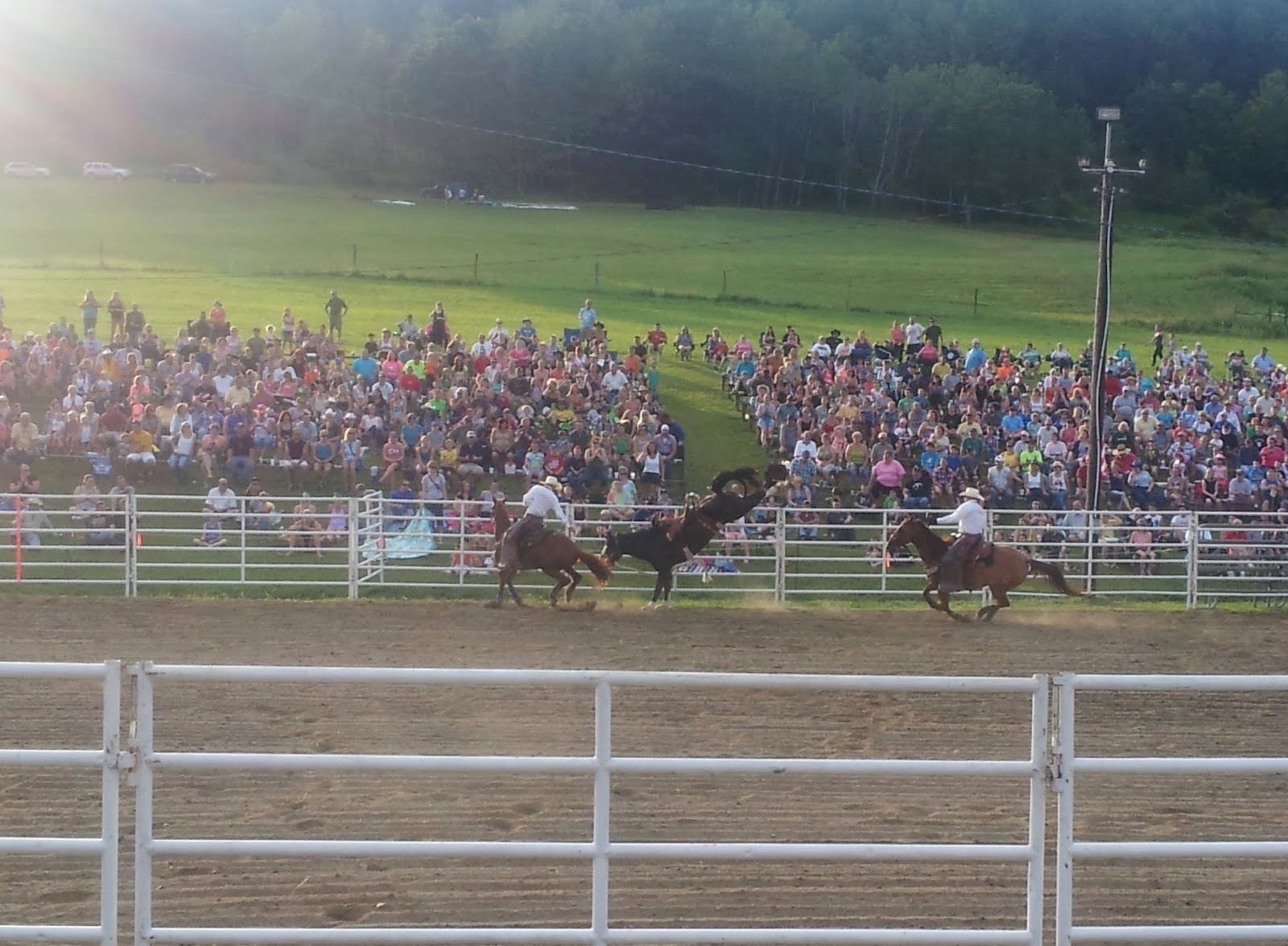 Redneck Rodeo