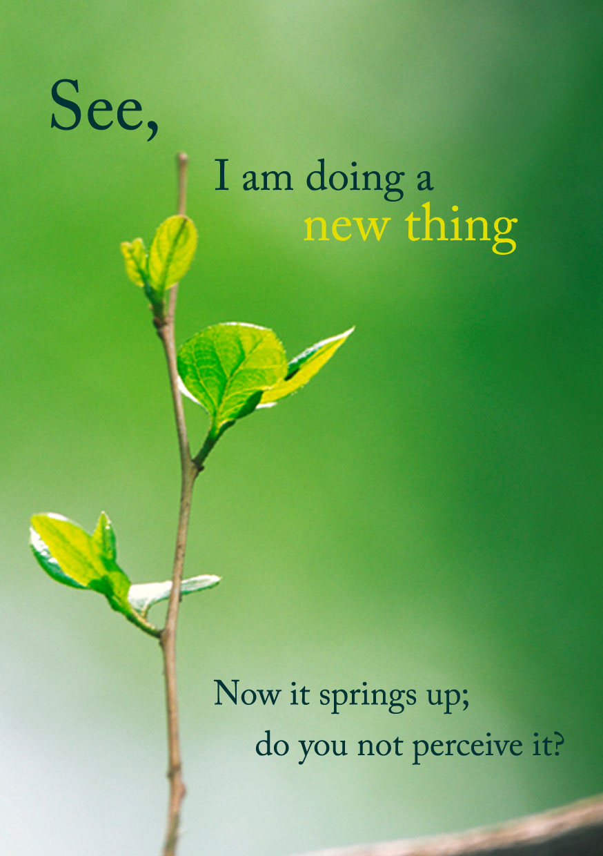 Lessons, Prayers, and Praises: Something New