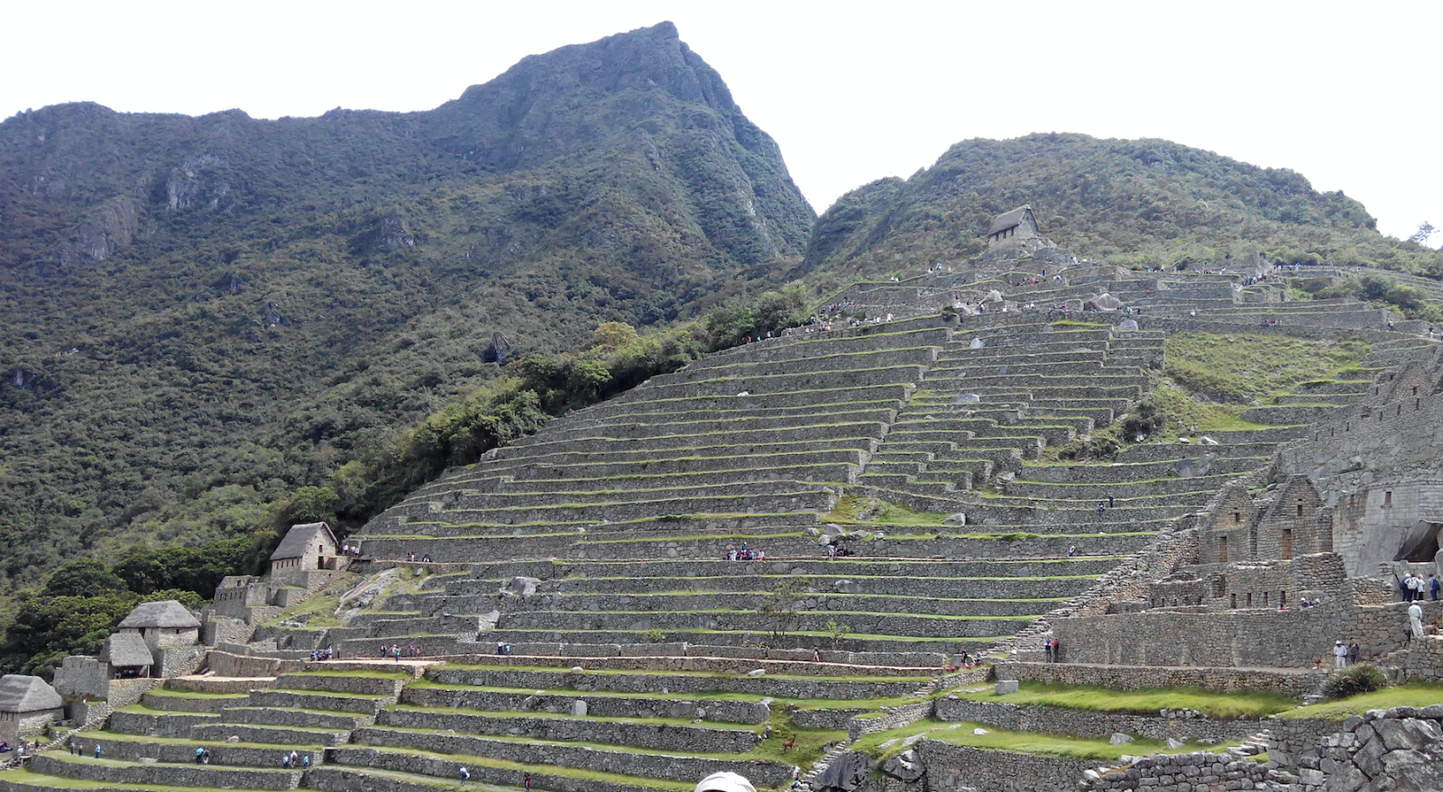 Curioseandando: Viaje a Machu Picchu: la ciudad de Machu Picchu (13/01 ...