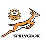 One Team, One Nation; Springboks 1995