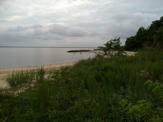 Pawstcards from Hampton Roads: Fort Boykin Park, Smithfield, VA