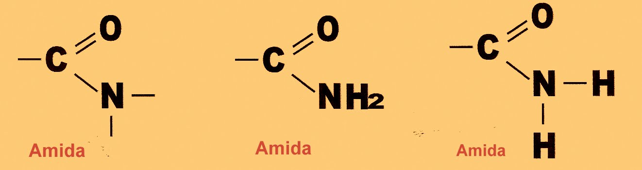 Aprendendo quimica on-line: Amidas