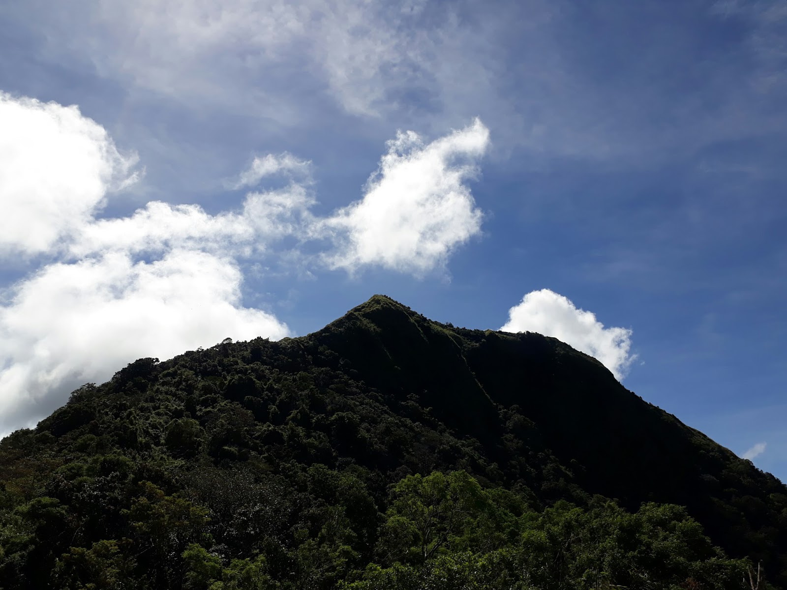 Travel with Life: Mt. Opao, Igbaras, Iloilo