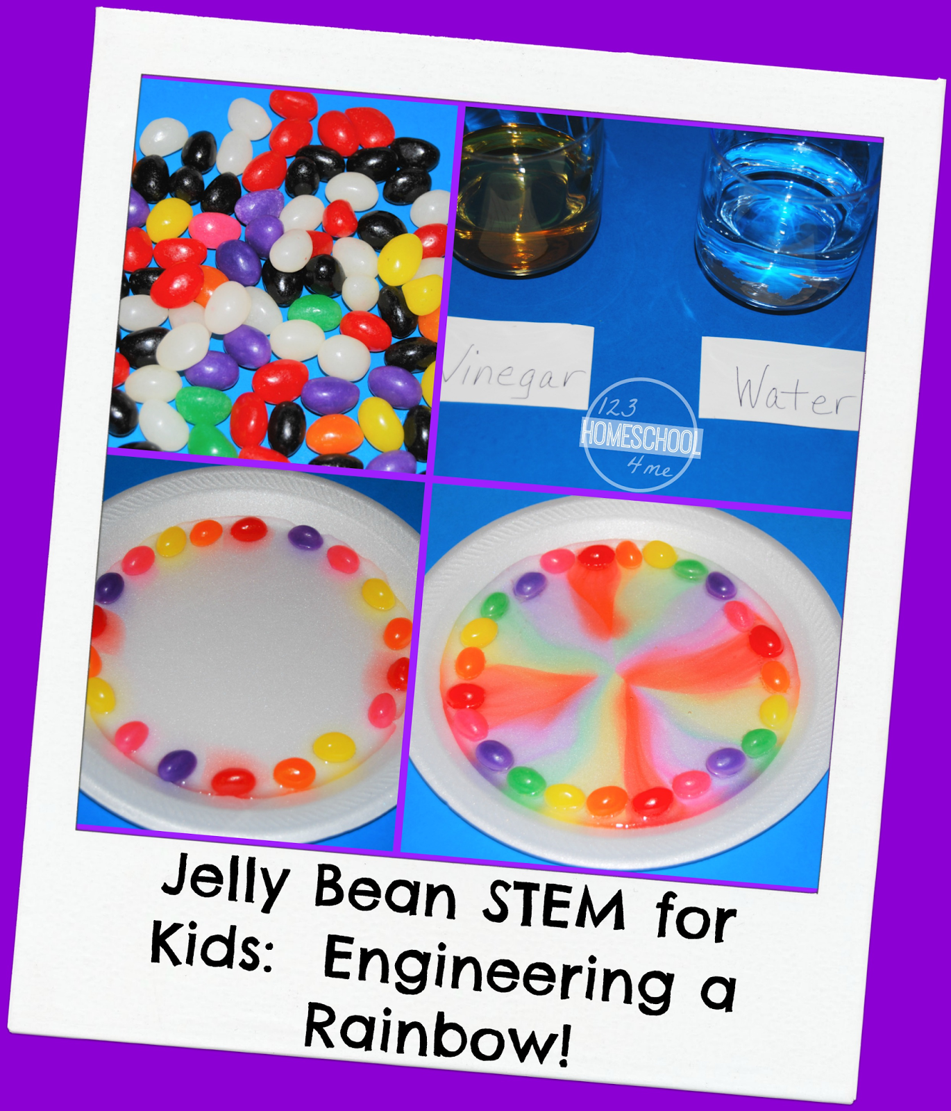 Jelly Bean STEM for Kids: Engineering a Rainbow