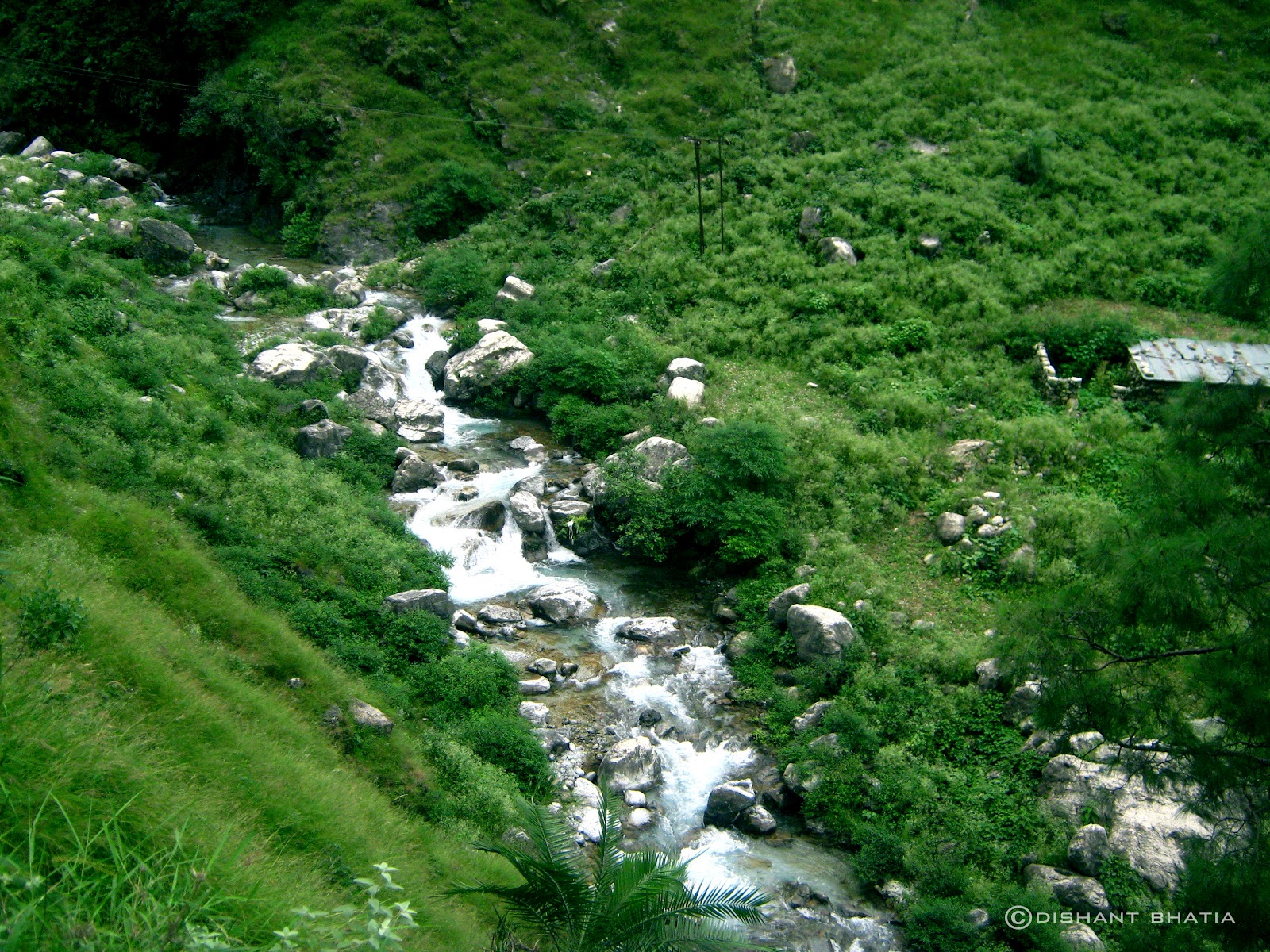 Panwadi Tales: Trek to Devi Pindi - A Photoblog