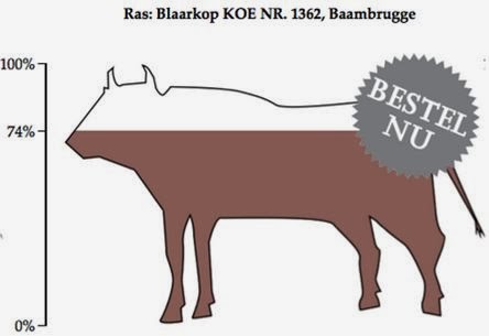 Leuk en Informatief!: Koop een koe!