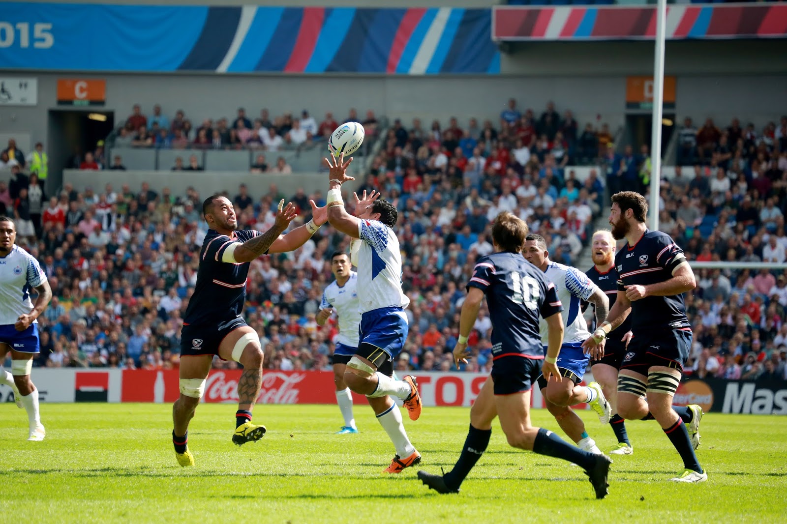 Brighton and Hove celebrates in the lead up to Rugby World Cup 2015