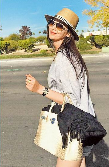 My Birkin Blog: Himalayan Birkin