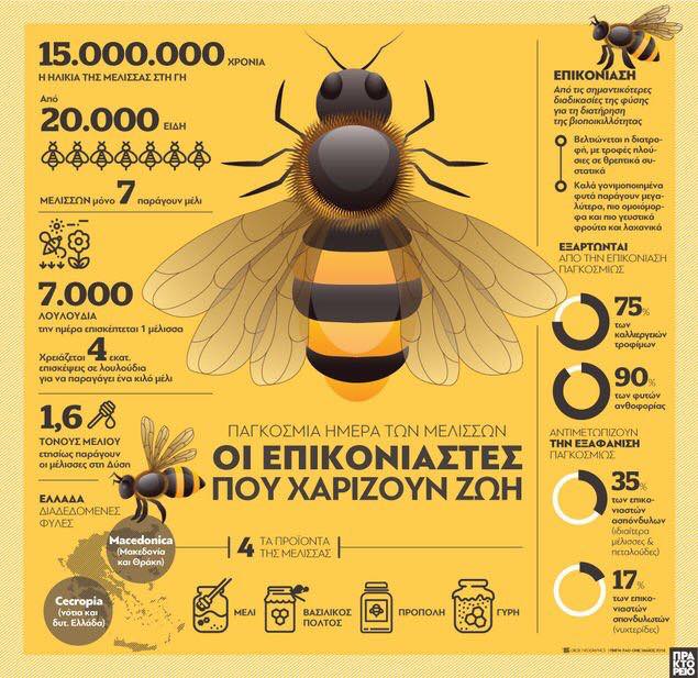 Μέλισσες… οι επικονιαστές που χαρίζουν ζωή! - XΡΥΣΟ ΜΕΛΙ ΖΑΚΥΝΘΟΥ