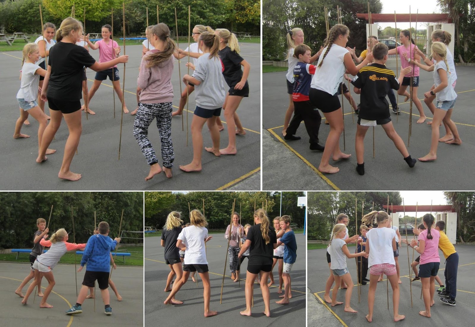 Room 8 - Halcombe School: May 2016