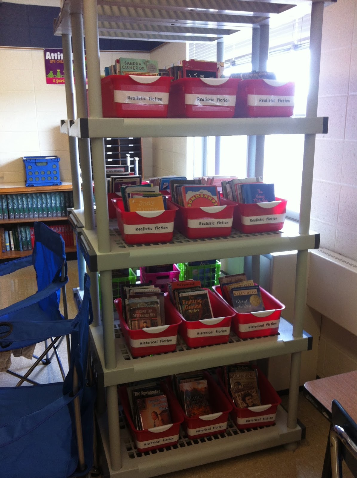 Classroom Library Activity and Pictures – The Literacy Effect