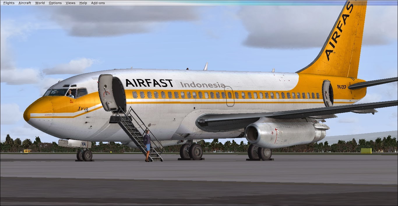 Fsx textures ~ WING 71