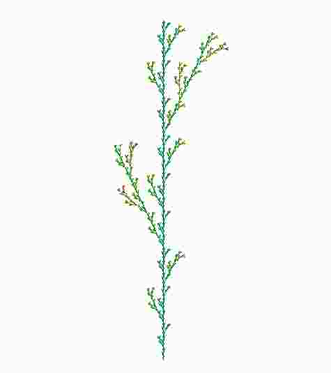 The I.T. Ninja: Python Turtles and Trees