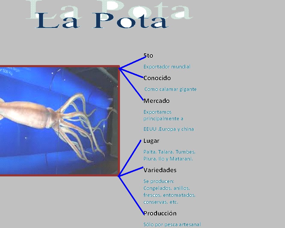 Langostino Andino: la pota
