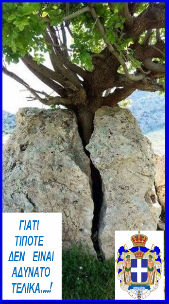 ΒΑΣΙΛΕΙΑ - ΕΘΝΑΡΧΙΑ : ΕΠΙ ΒΑΣΙΛΕΙΑΣ ΚΩΝΣΤΑΝΤΙΝΟΥ Β΄ ΗΛΘΕ Η ΚΑΡΑ ΤΟΥ ...