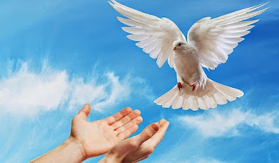 BAPTISAN ROH KUDUS: 7 LANGKAH MUDAH