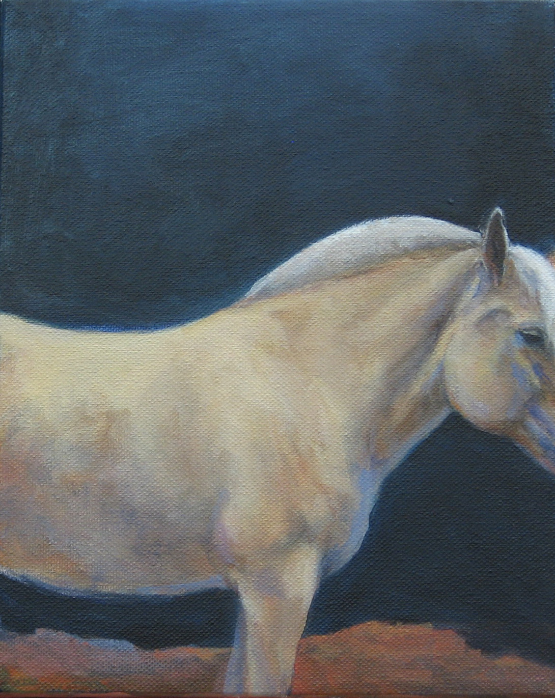 TINA FONG Paintings: Horses