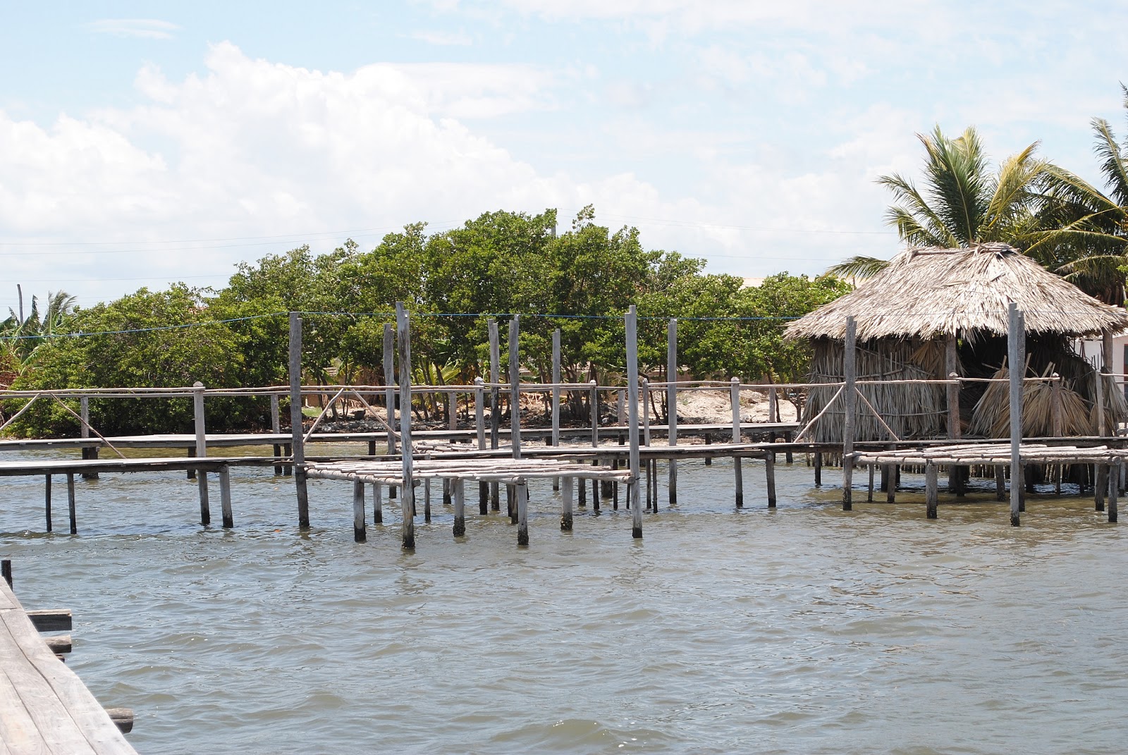 Sagua Viva: Isabela de Sagua. Más imágenes de un lugar único en Cuba.
