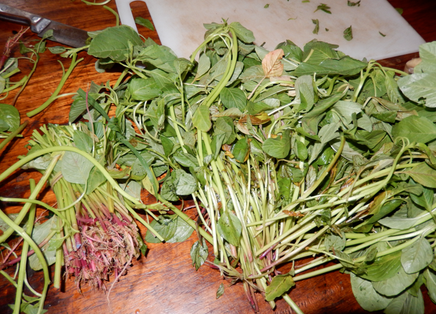 From Here to There ... wherever there is : TZ Recipe #4: Cabbage and ...