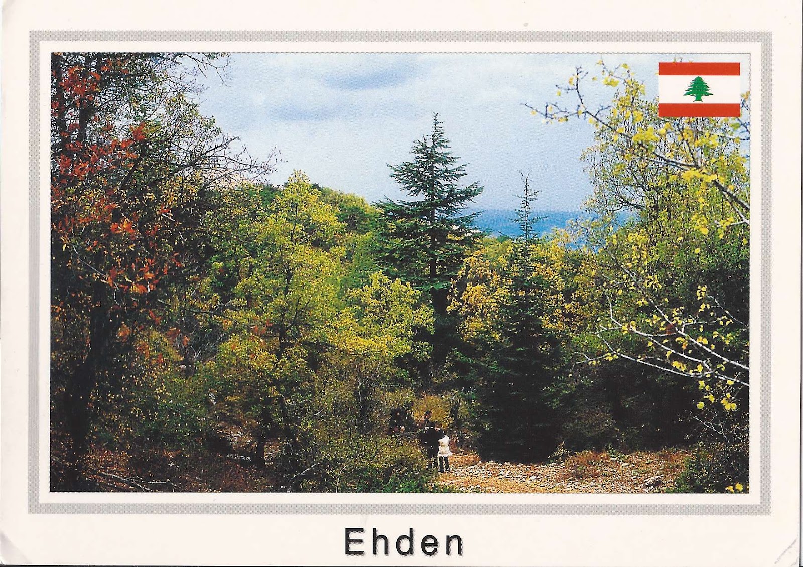A Journey of Postcards: Horsh Ehden Nature Reserve, Lebanon