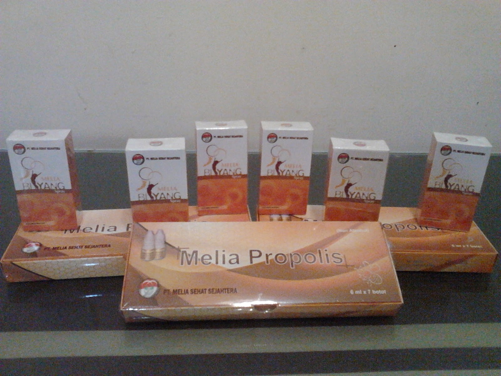 Apa Saja Sih Produk Melia Sehat Sejahtera ? ~ Melia Biyang