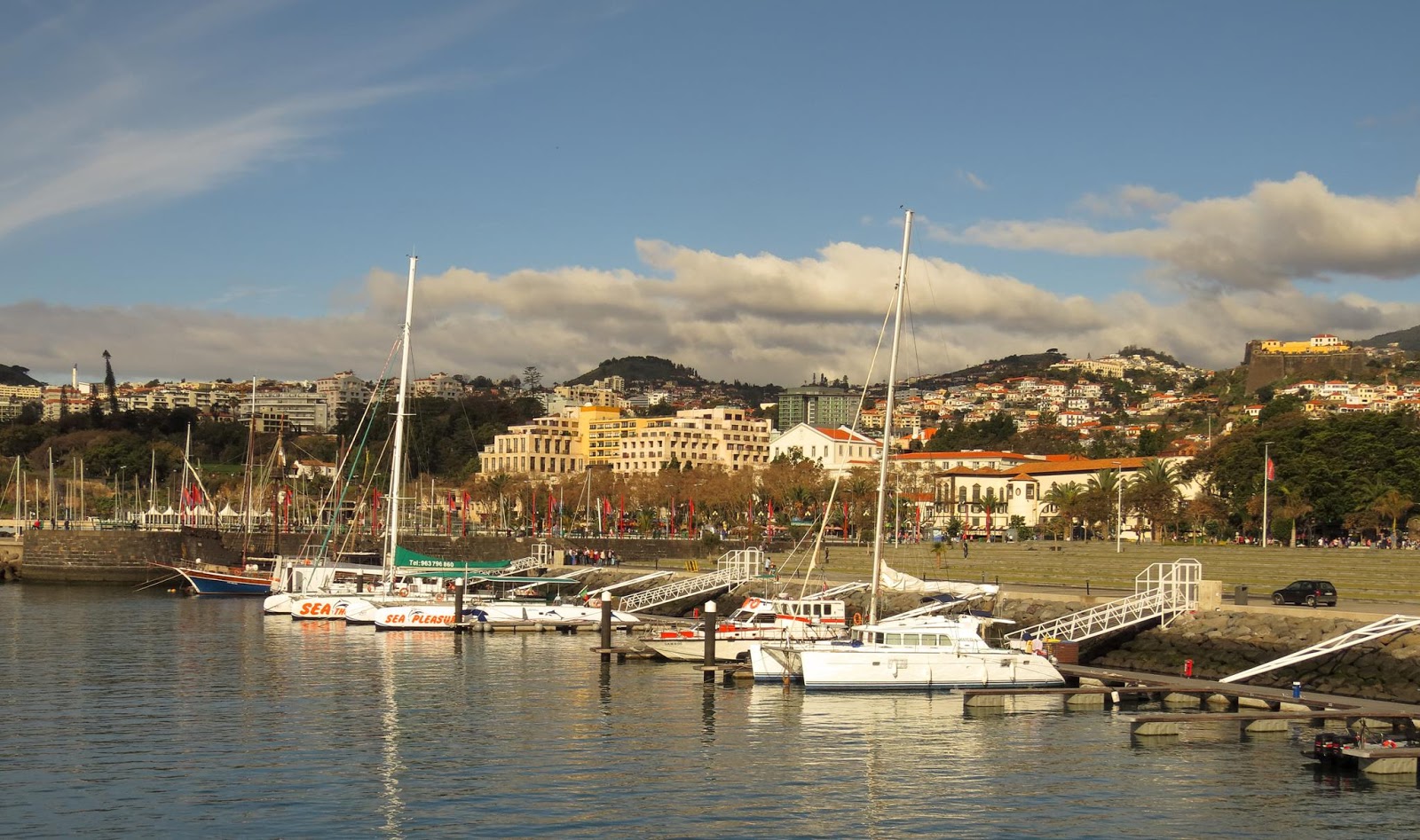 the new marina - Funchal Daily Photo
