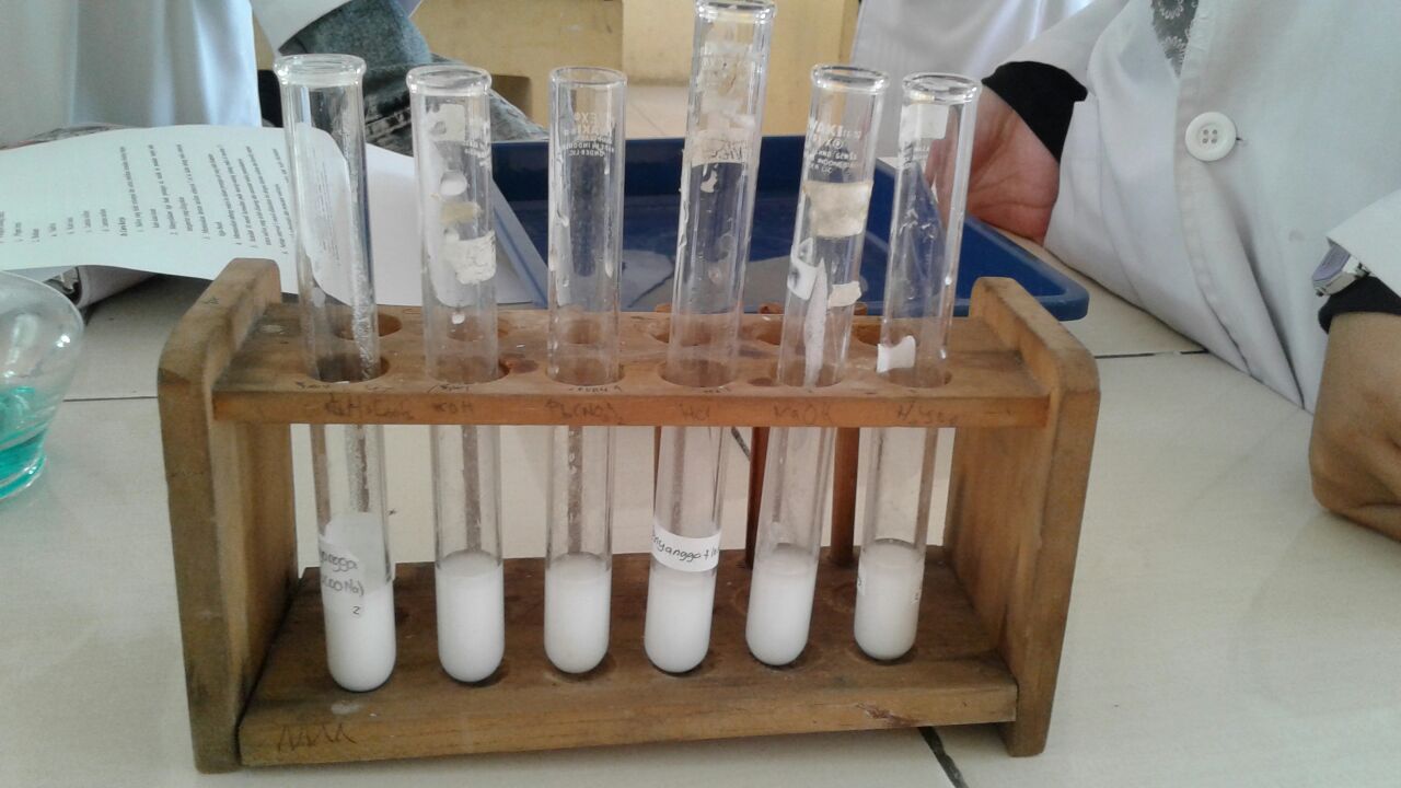 LAPORAN PRAKTIKUM FISIOLOGI HEWAN : Aktivitas Enzim Amilase pada Air Ludah