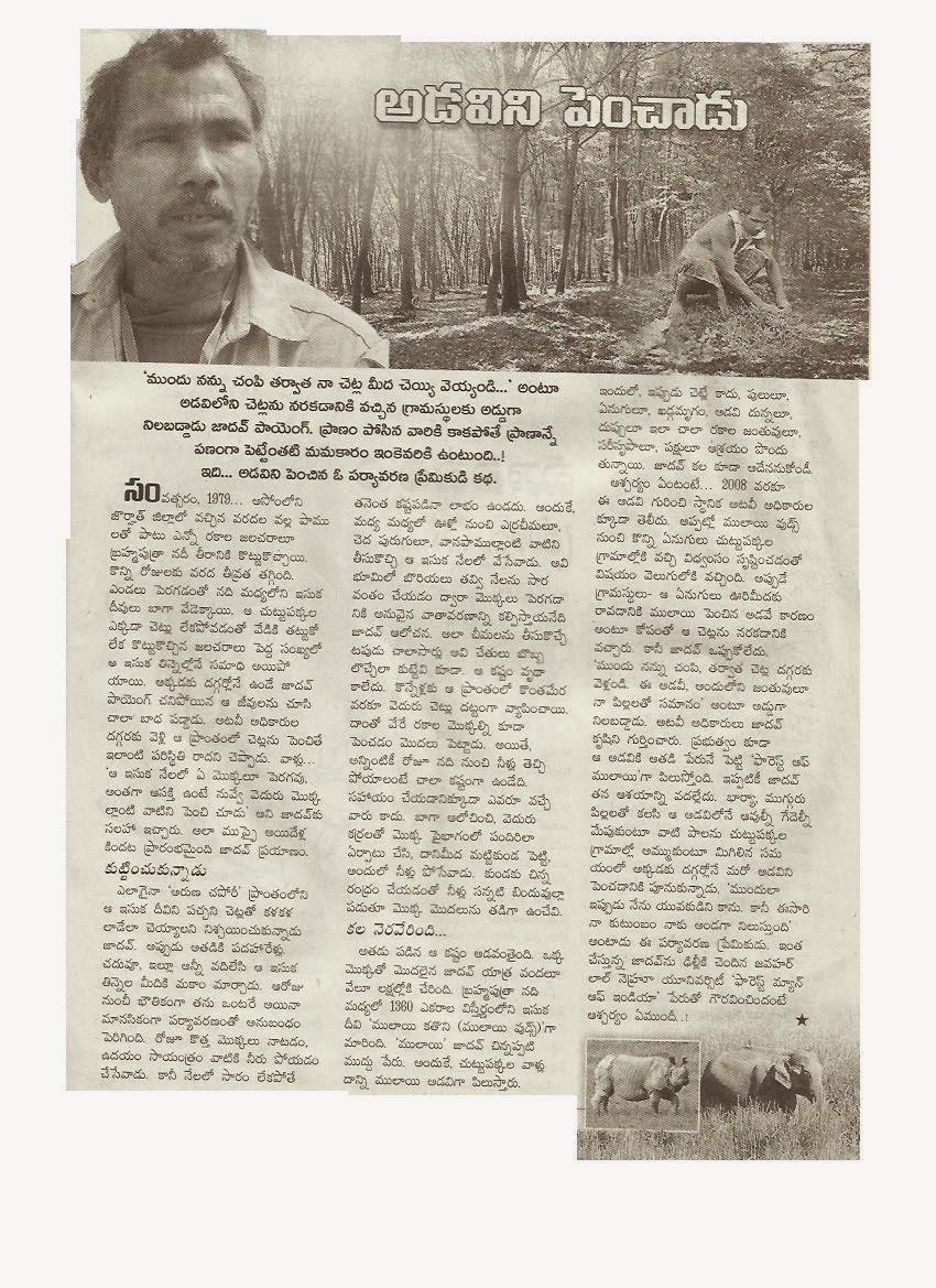 USEFUL LIFE SKILLS: JADAV PAYENG - FOREST MAN OF INDIA - MULAI KATHONI ...