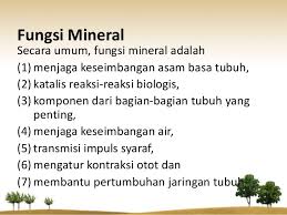Pengertian Mineral dan Manfaat/Fungsi Mineral Bagi Tubuh Kita Lengkap ...