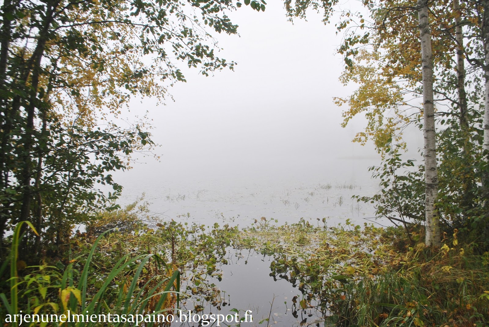 Tasapainoilua 1: Sumuisena aamuna