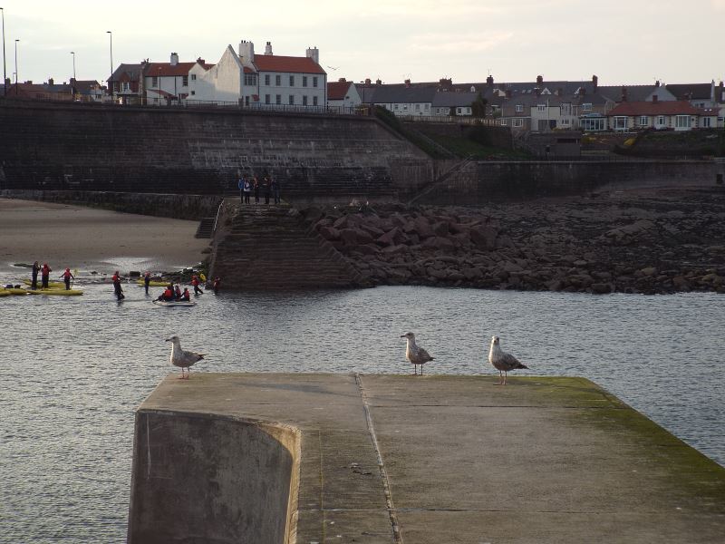 Photographs Of Newcastle: Cullercoats