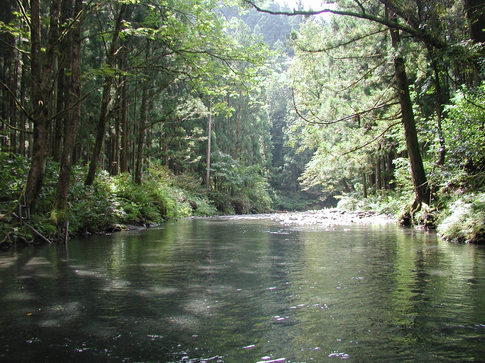 Takiya River, Niigata: Wet September start