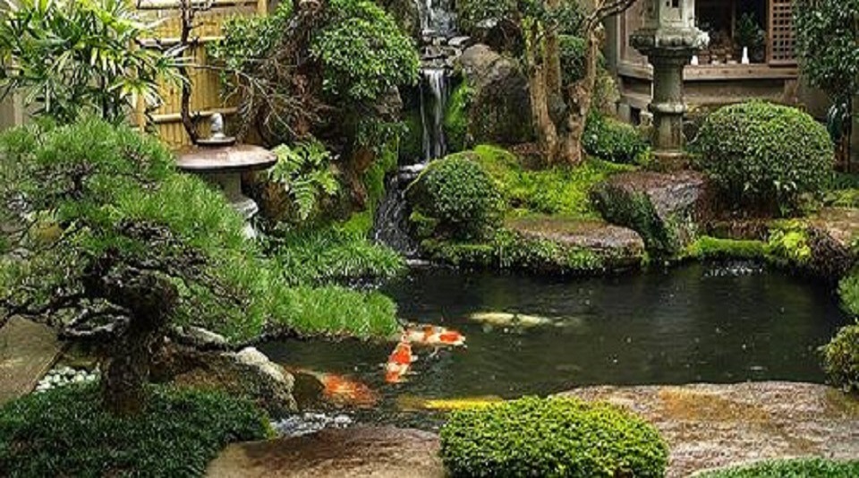 Estanques ~ Mundo Koi