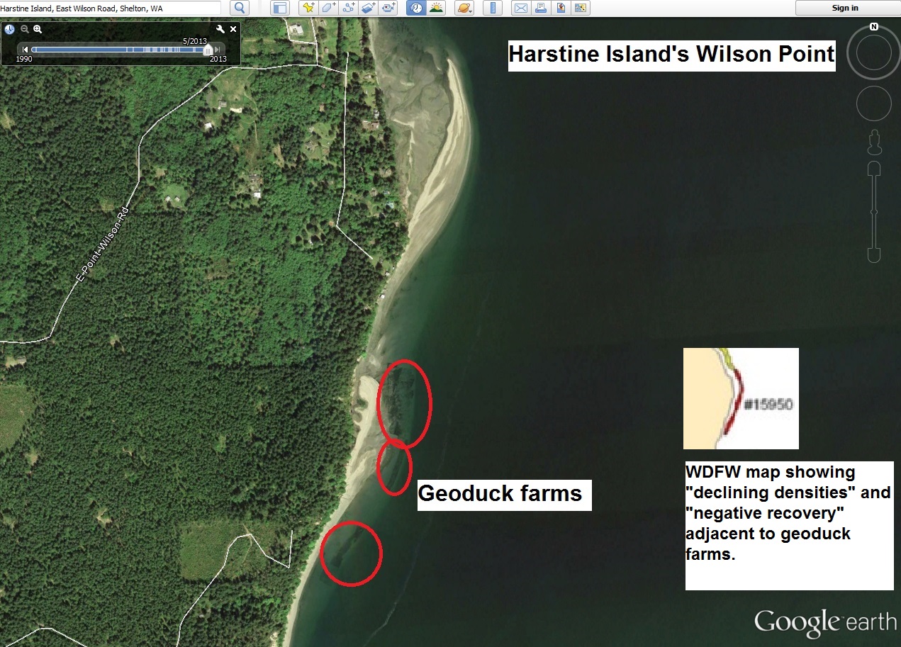 Protect Our Shoreline News: WDFW Maps Show Declining Densities and ...