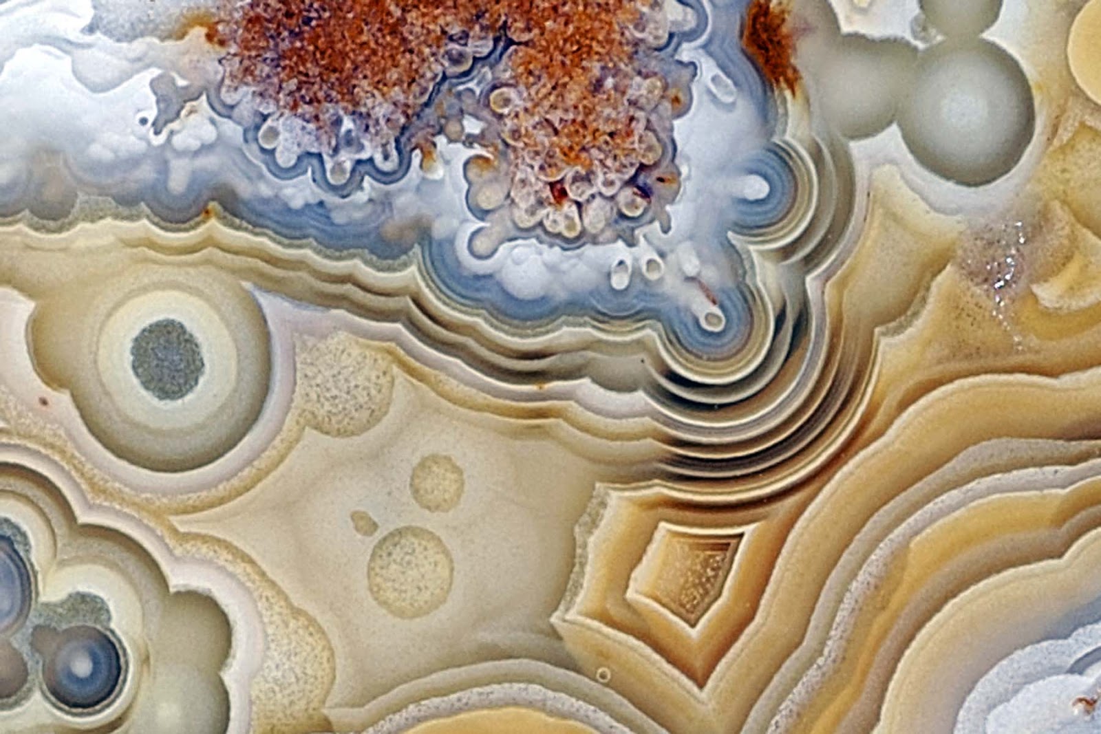The Agatelady: Adventures and Events: Agate Detail