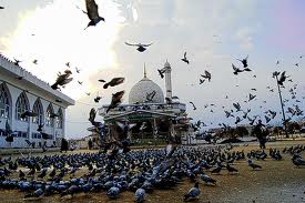 kashmir: Historical places and monuments of Srinagar