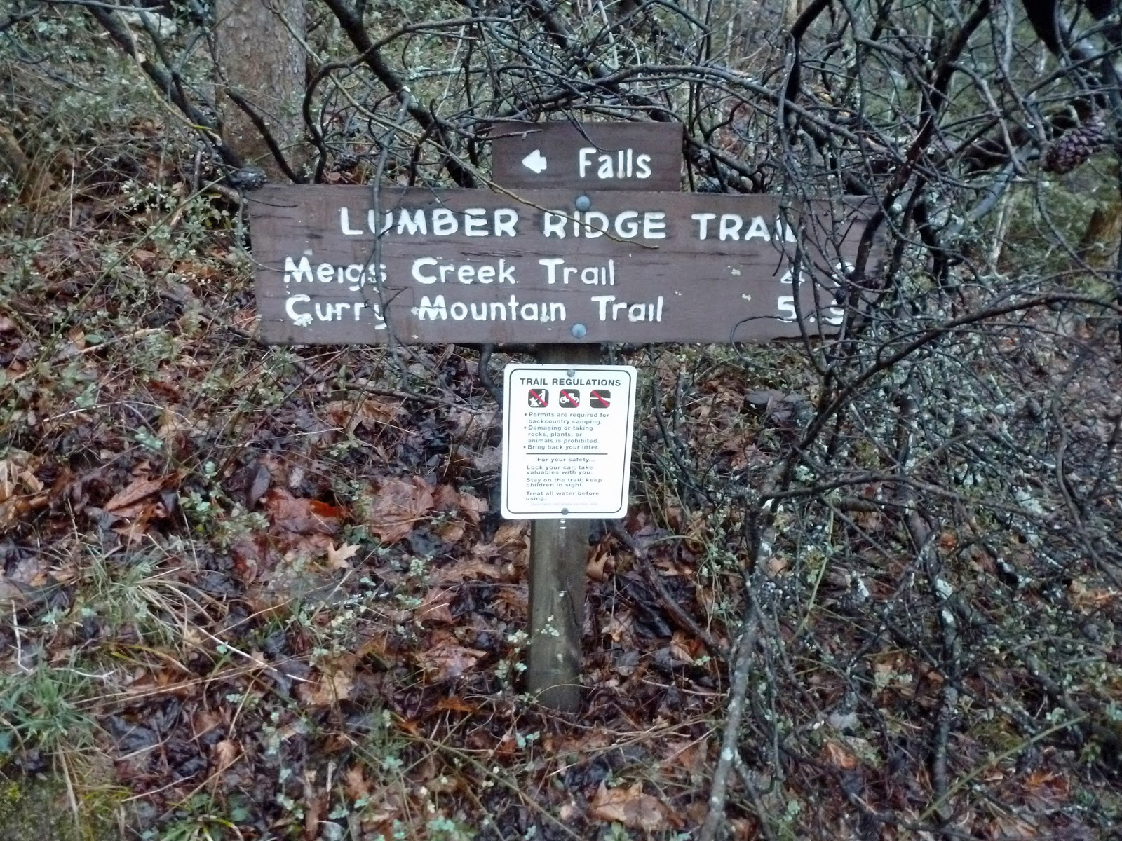 The Continuing Adventures of Eric, Noelle and Sierra: Great Smoky ...