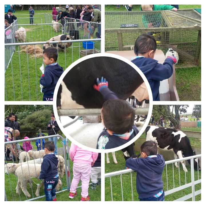 Ambury Farm Day | HAPPY MOMMY STORIES