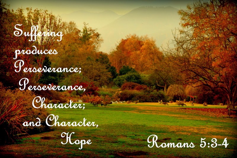 Suffering produces hope